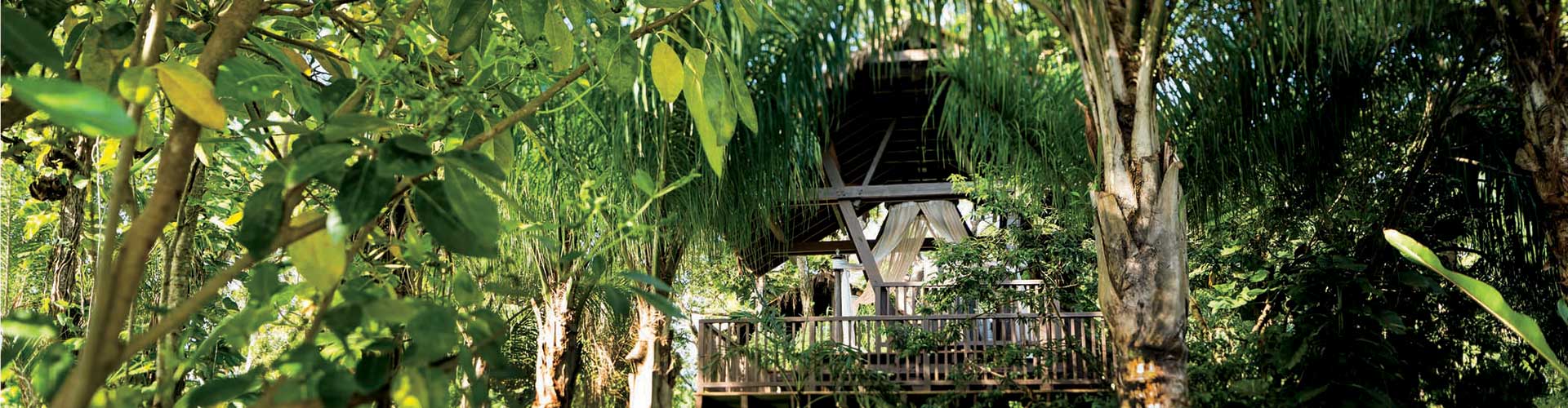 Five Star Spa Spotlight: Spa Botanico at Dorado Beach, a Ritz Carlton ...